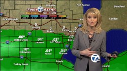 Hally Vogel - WXYZ 7 Detroit - TvNewsCaps